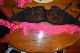 Pasties, Fringe and Rhinestones: How to Make Burlesque-Inspired ...