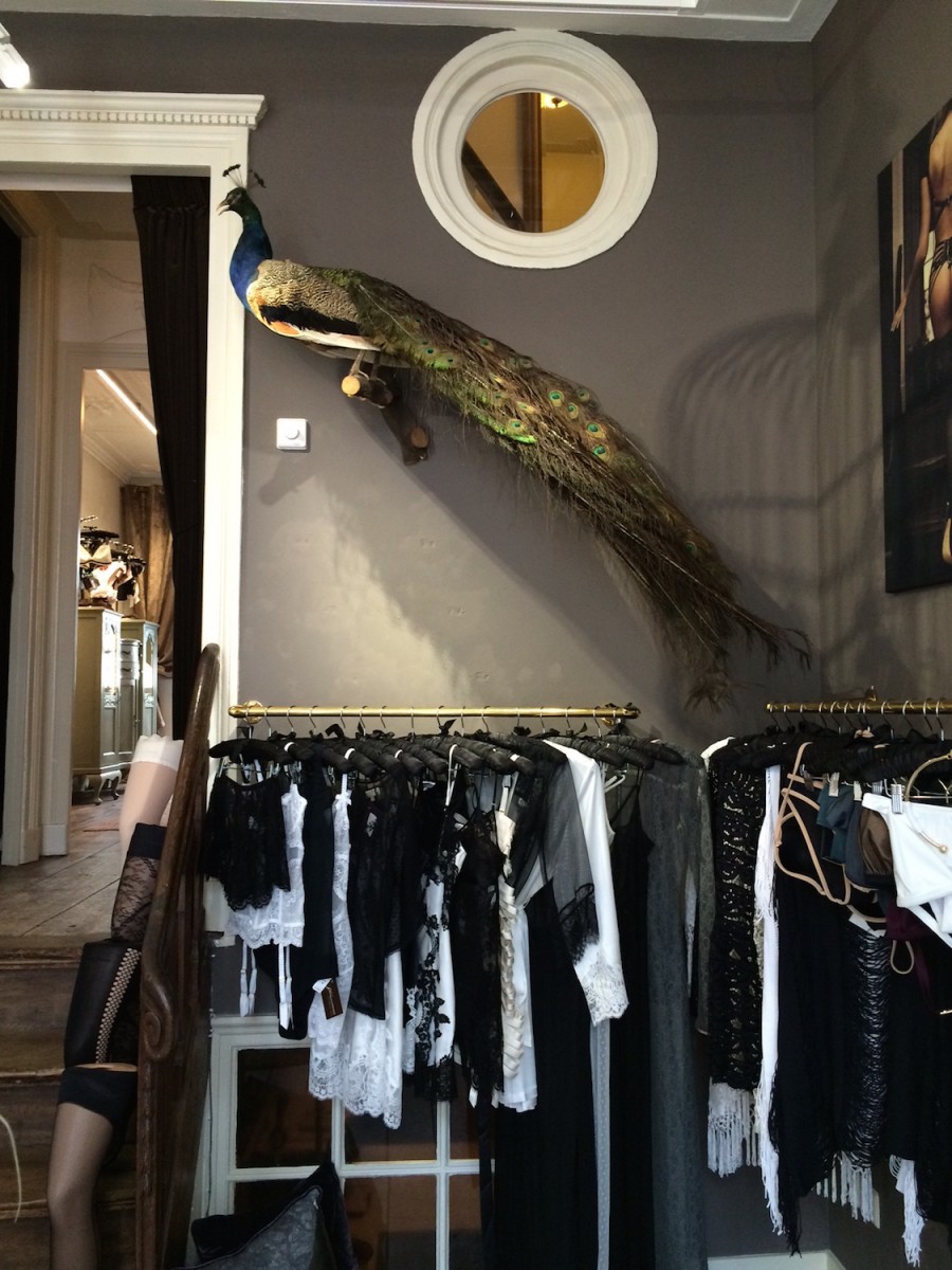 Shop Review: Pleasurements Lingerie