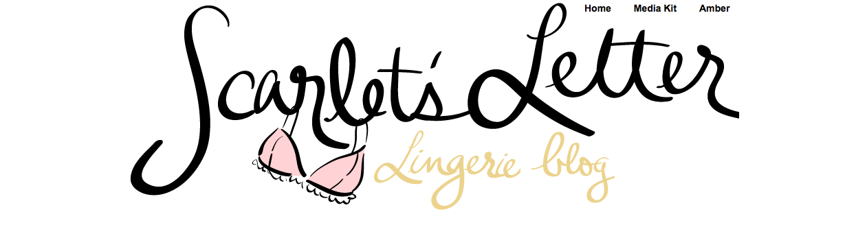 5 Lingerie Blogs to Follow in 2014 | The Lingerie Addict